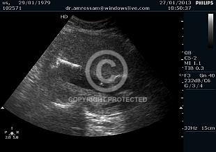 Home of OBGYN Lectures | Latest Photos